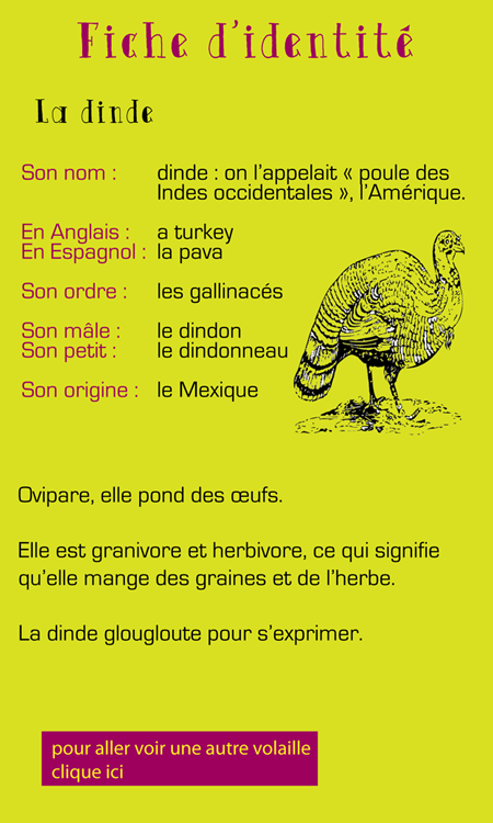 Fiche-d'identité-dinde