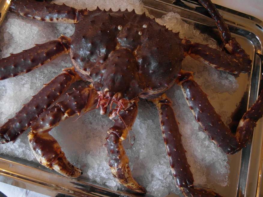 Le poisson et la mémoire